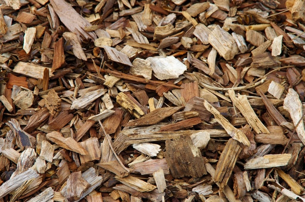 Il mulching (o pacciame): cos’è e come si fa